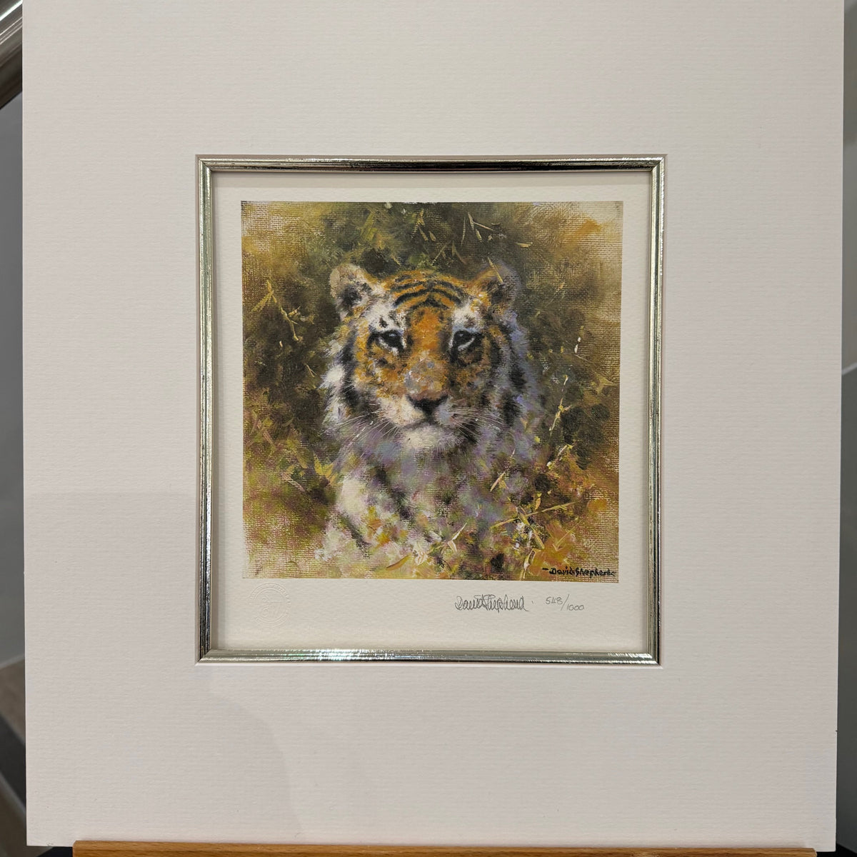 Bengal Tiger The Cameo Collection Wildlife Of The World – Chelmer Fine Art