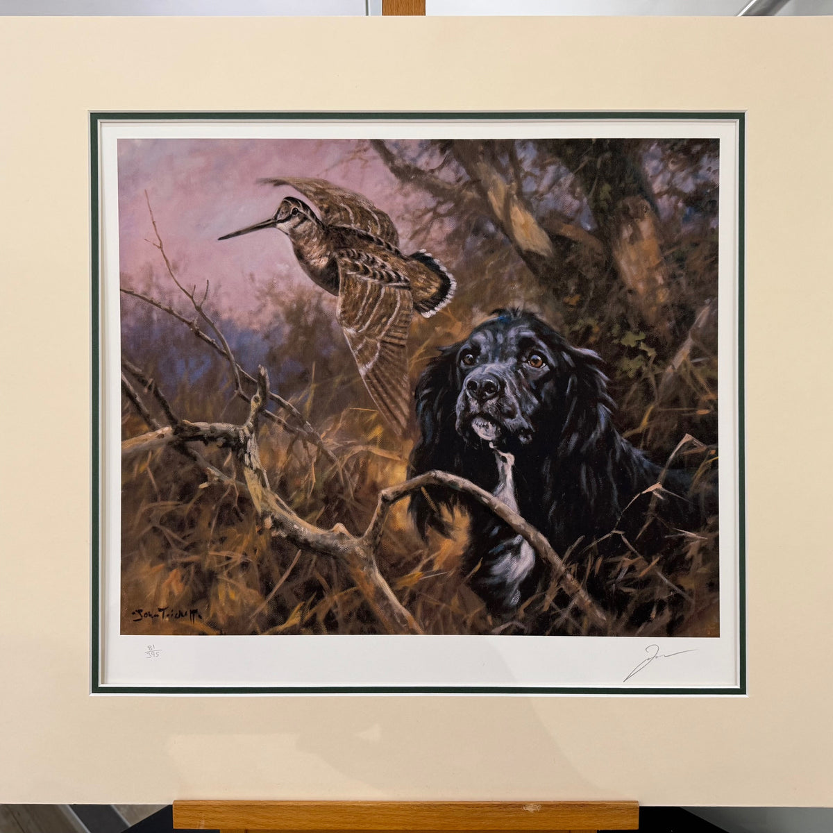 Cocker Flushing Woodcock – Chelmer Fine Art