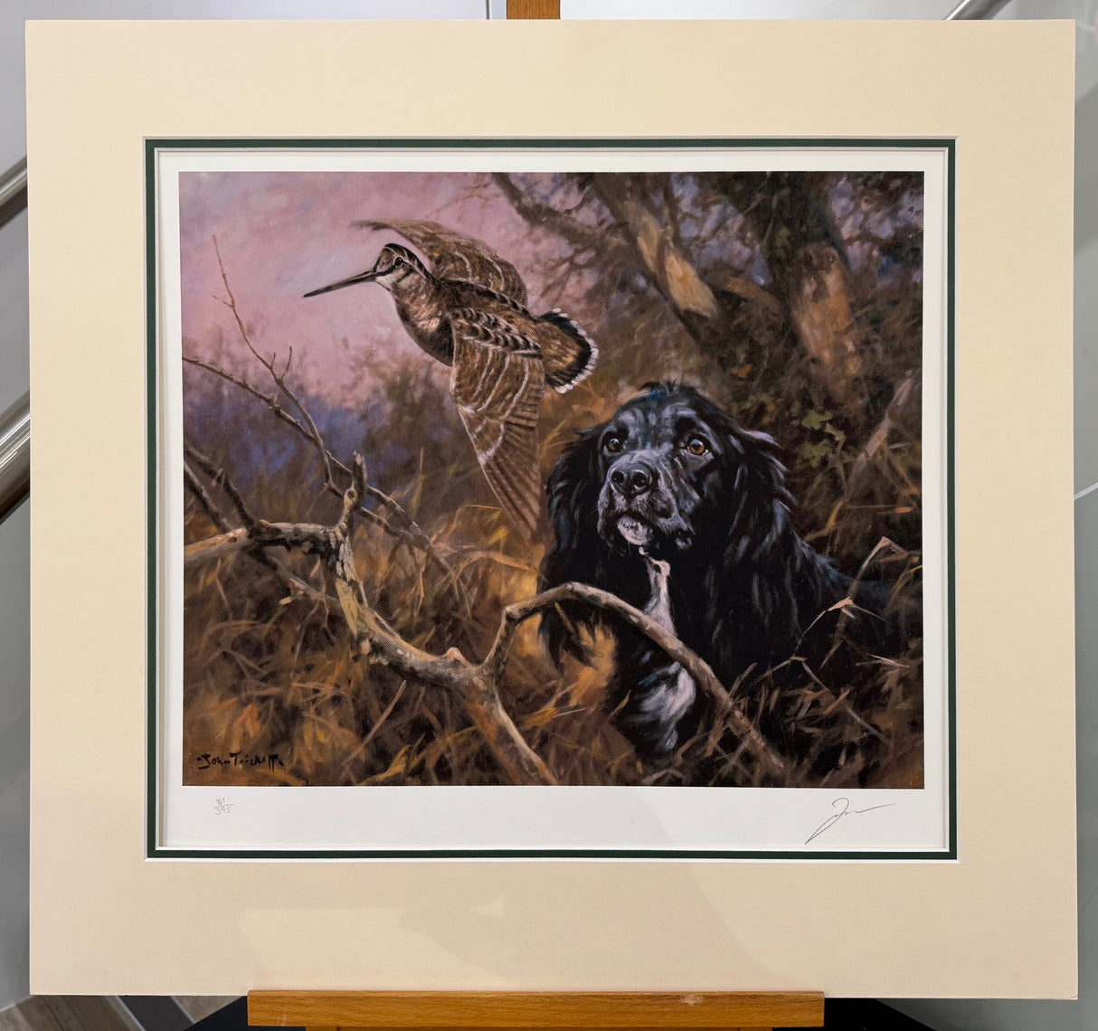 Cocker Flushing Woodcock – Chelmer Fine Art