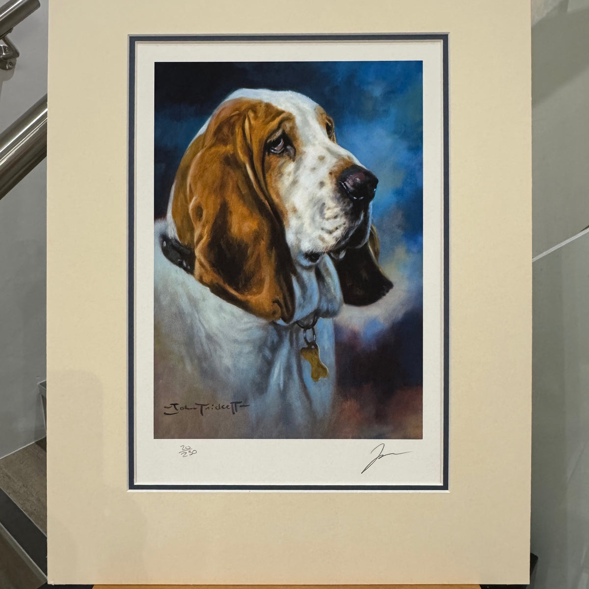 Hang Dog Bassett Hound – Chelmer Fine Art