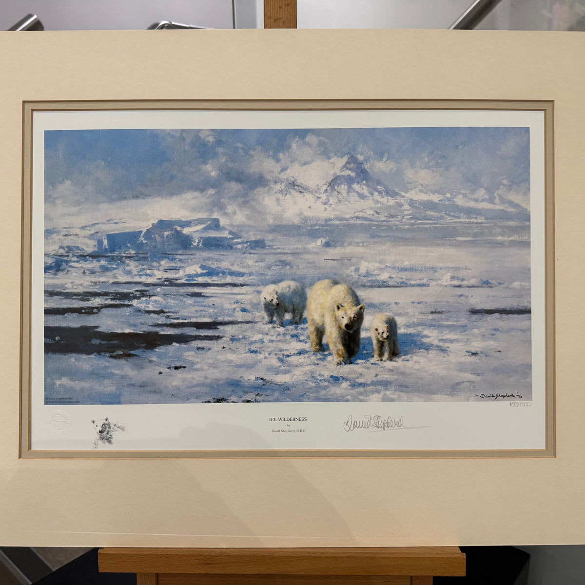 Ice Wilderness – Chelmer Fine Art