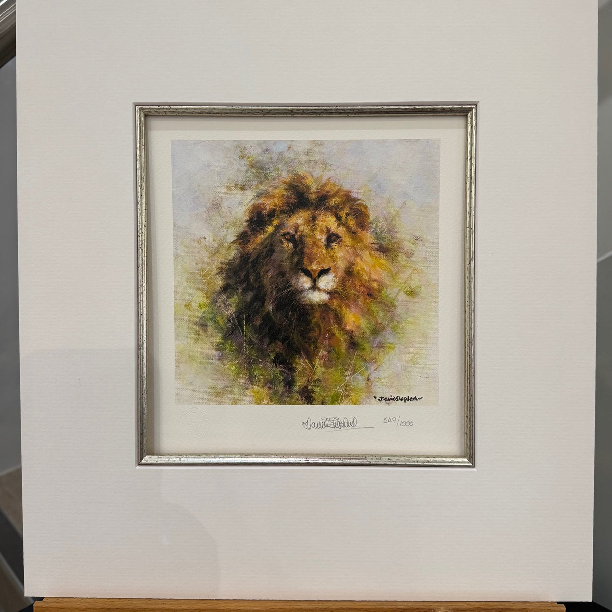 Lion The Cameo Collection Wildlife Of The World – Chelmer Fine Art