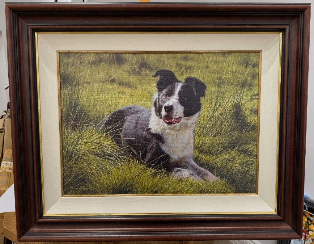 Not Now Spud - Canvas – Chelmer Fine Art