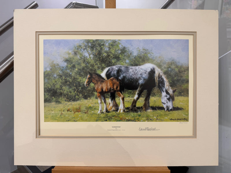 David Shepherd Artwork | Limited Edition Prints | Chelmer Fine Art