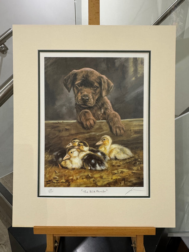 The Bird Fancier – Chelmer Fine Art