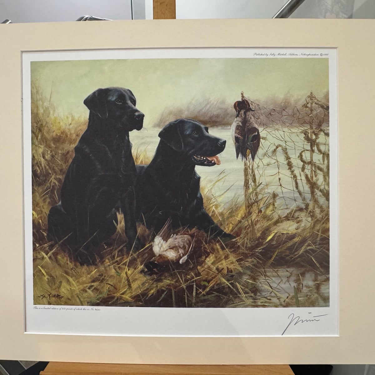 Two Black Labradors Having A Rest – Chelmer Fine Art