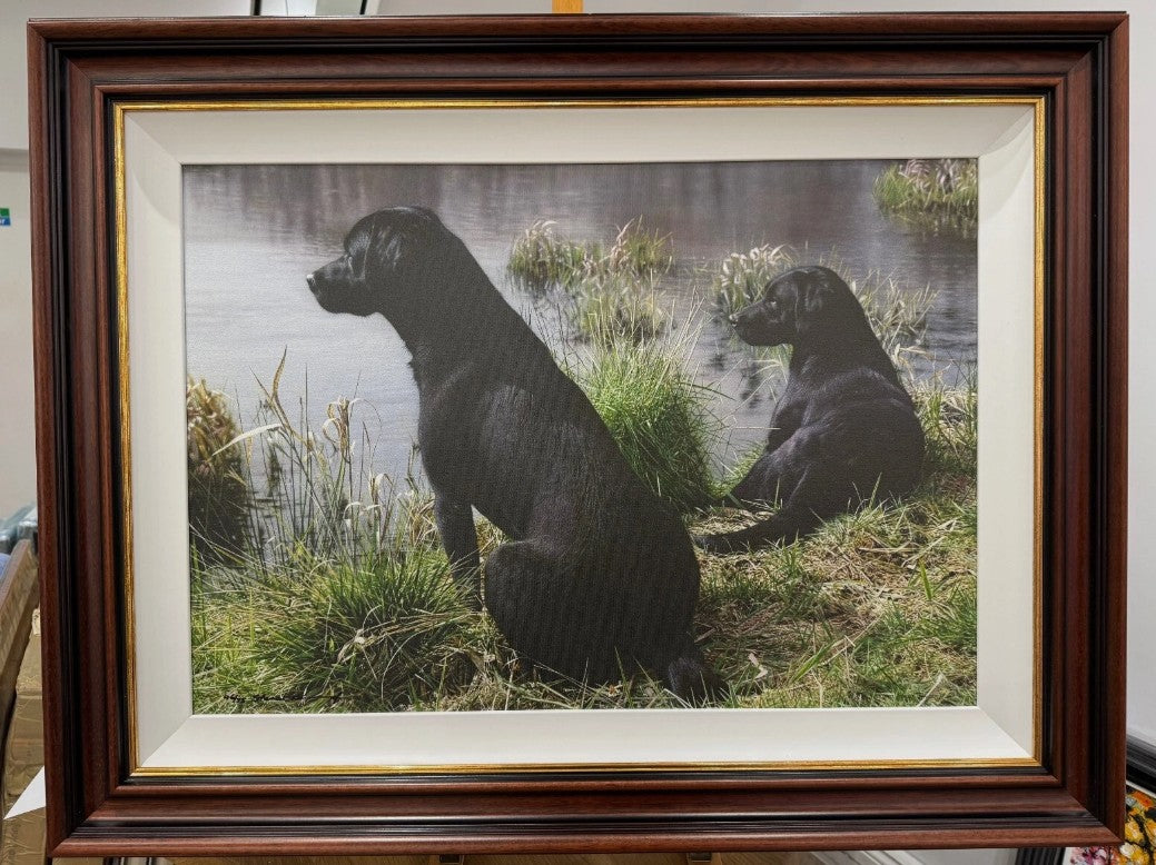 Watching and Waiting - Canvas – Chelmer Fine Art